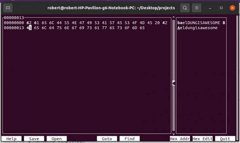 如何在Linux上编辑二进制文件 - IT Coding Man 如何在Linux上编辑二进制文件 - IT Coding Man